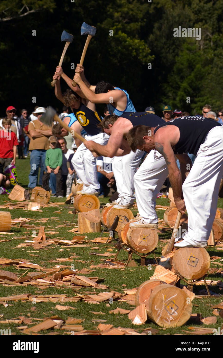 Woodchopping hi-res stock photography and images - Alamy