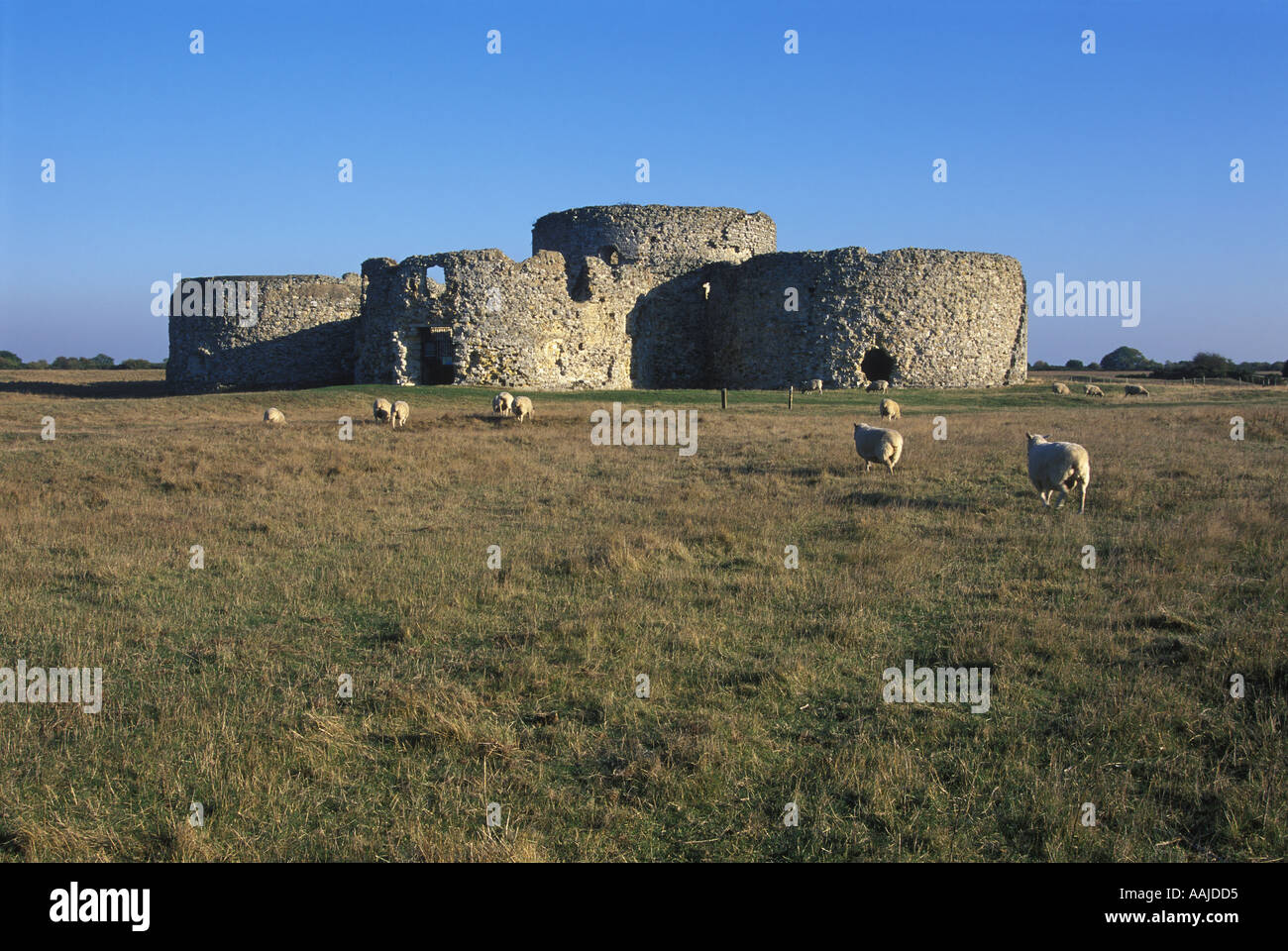 Camber castle hi-res stock photography and images - Alamy