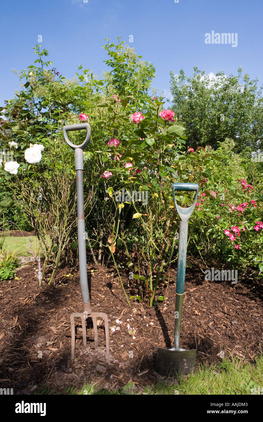Garden fork and spade standing side by side Stock Photo - Alamy