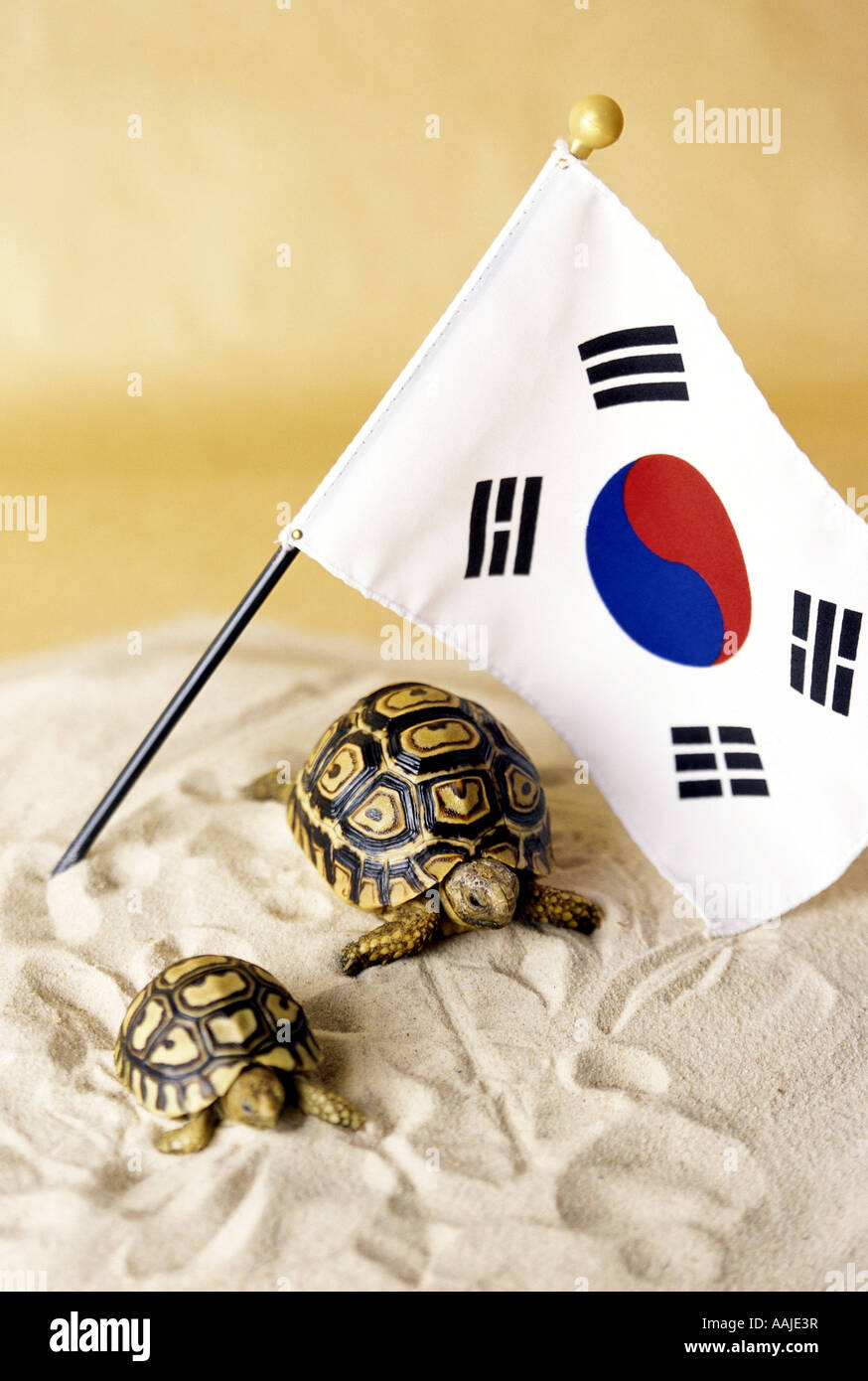 Turtle flag hi-res stock photography and images - Alamy