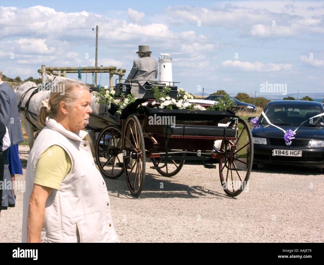 Horse drawn carriage handsome carriage hi-res stock photography and ...