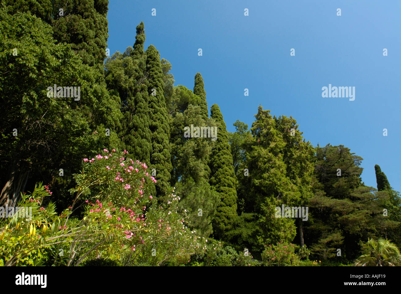 Crimea border hi-res stock photography and images - Alamy