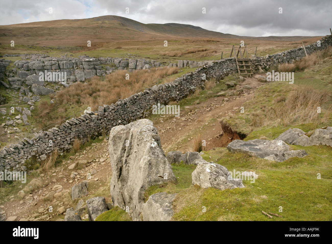 Wooden ladder stile on the approach to Ingleborough from Clapham ...