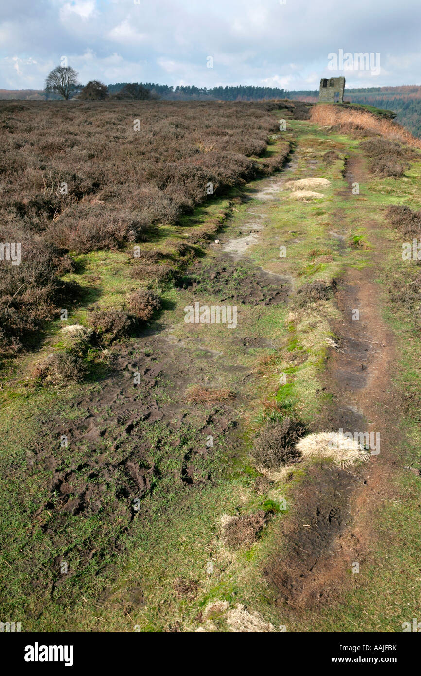 Skelton Tower, North Yorkshire Moors, Great Britain Stock Photo - Alamy