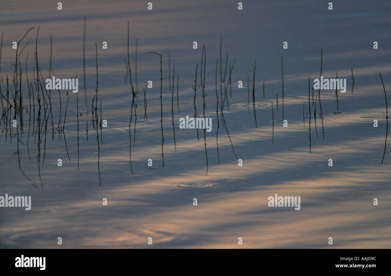 Water ripples patterns abstract hi-res stock photography and images - Alamy