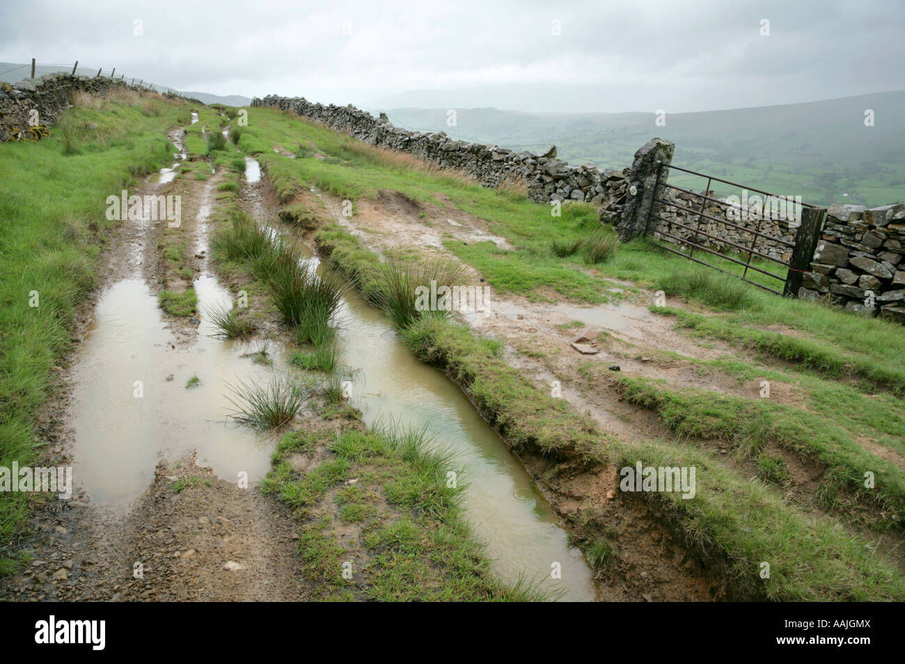 Deep ruts in stone hi-res stock photography and images - Alamy