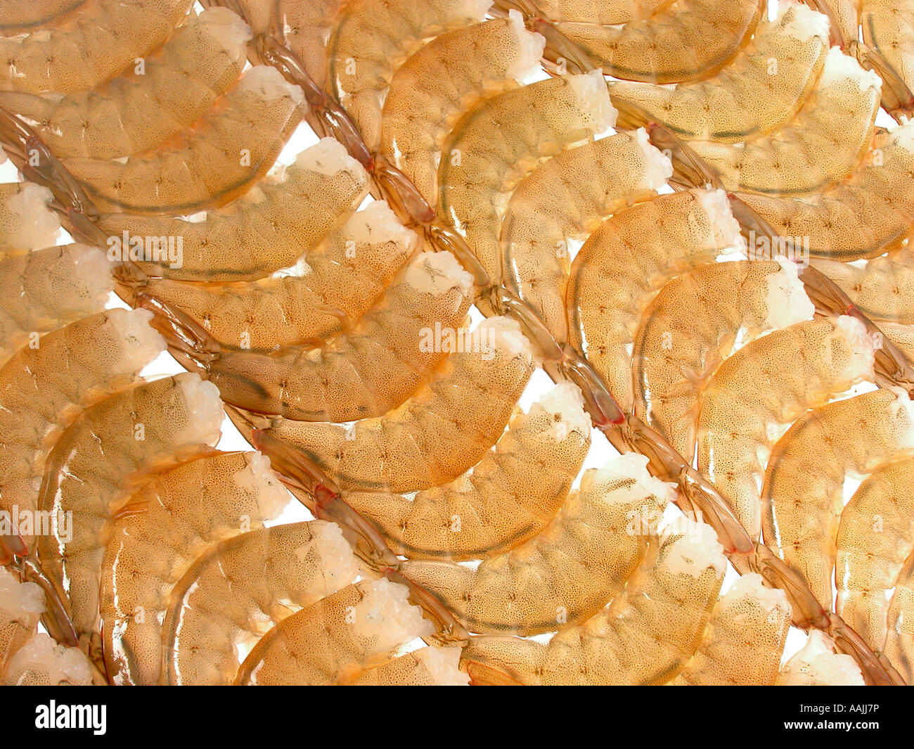 shrimp pattern close-up Stock Photo - Alamy