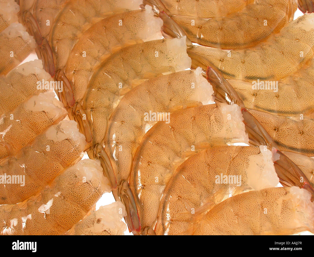 shrimp pattern close-up Stock Photo - Alamy