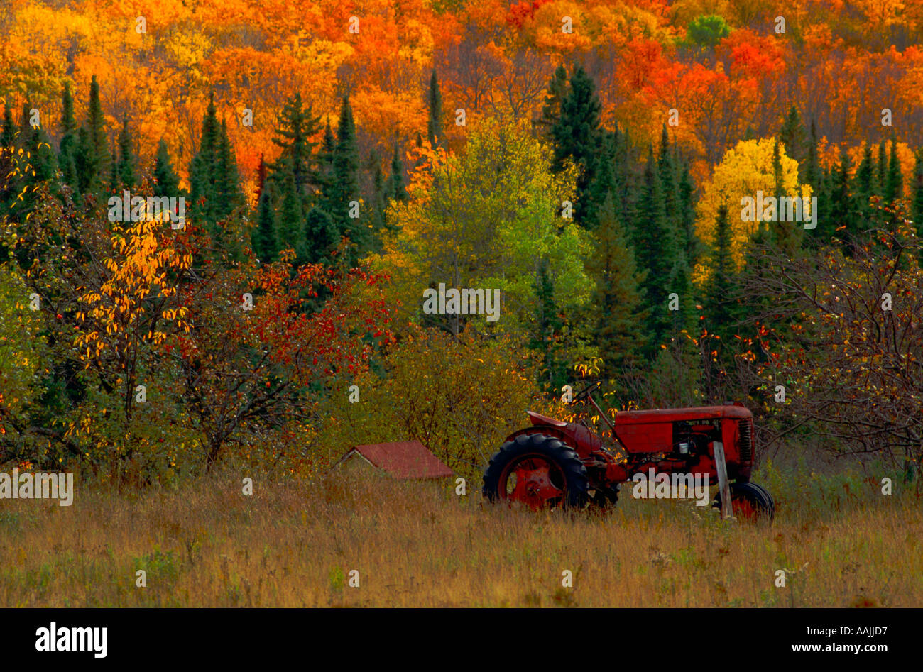 Abandoned red tractor with fall autumn surroundings, Northern Michigan ...