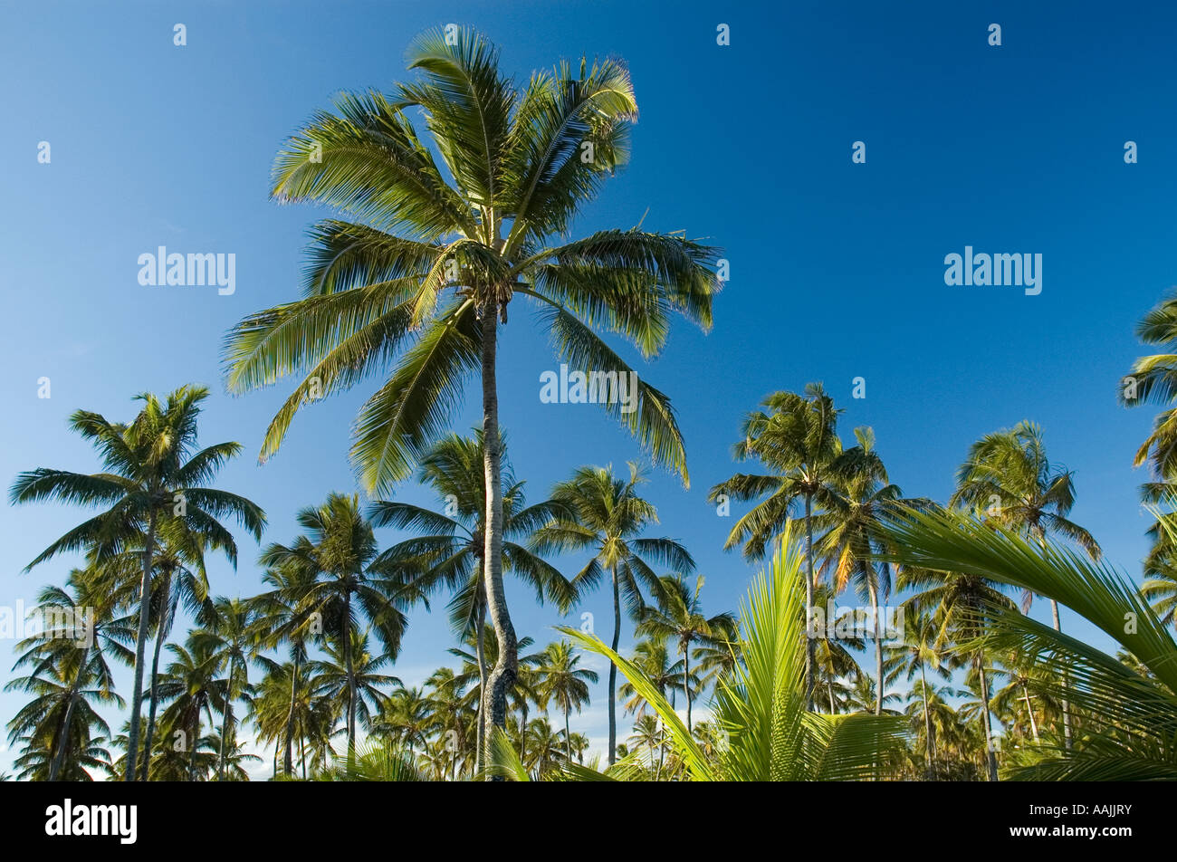 No porto de pernambuco hi-res stock photography and images - Alamy