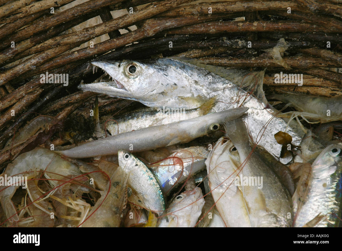 Fish basket hi-res stock photography and images - Alamy