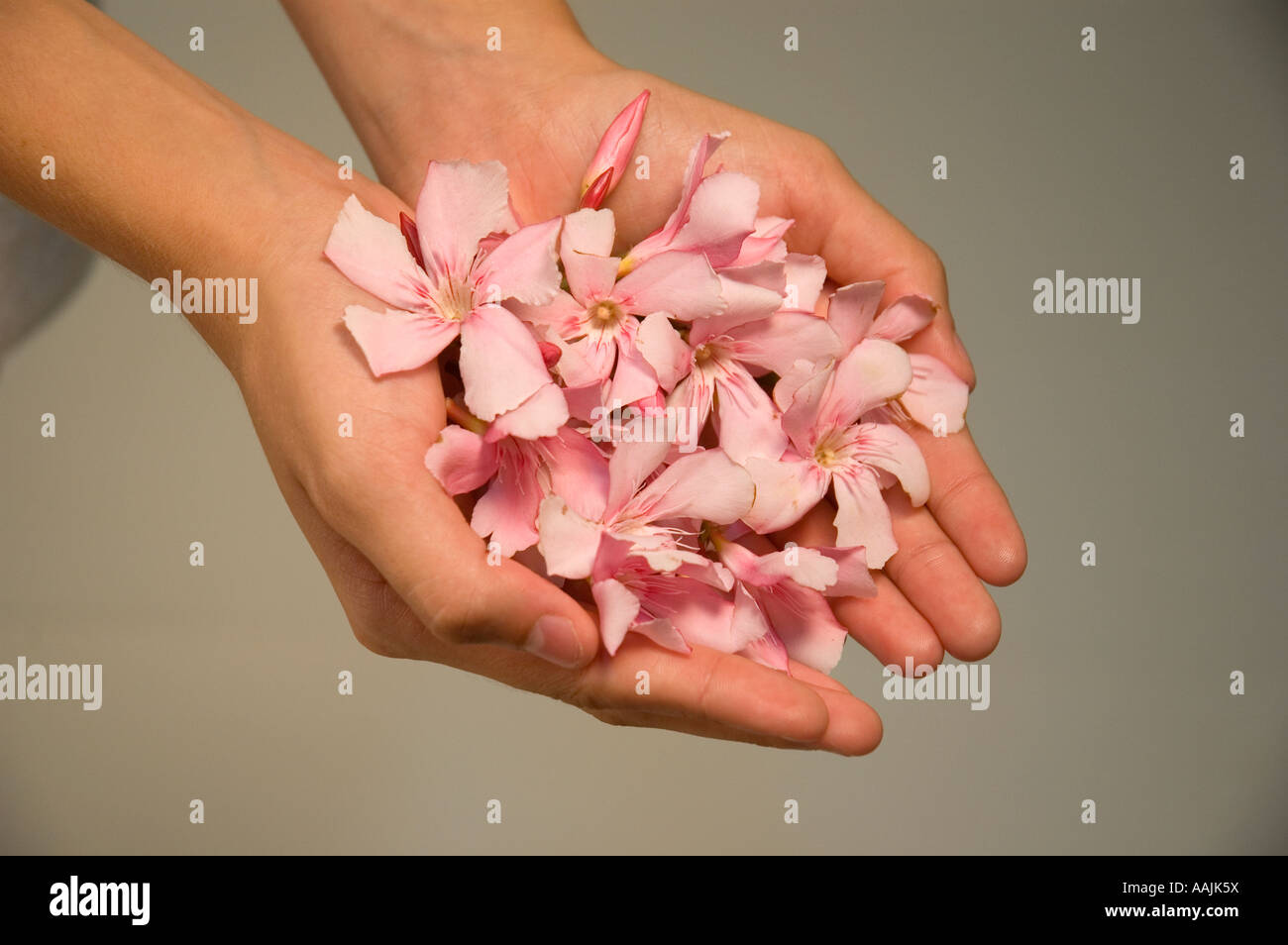 Cupped hands holding flowers hi-res stock photography and images - Alamy