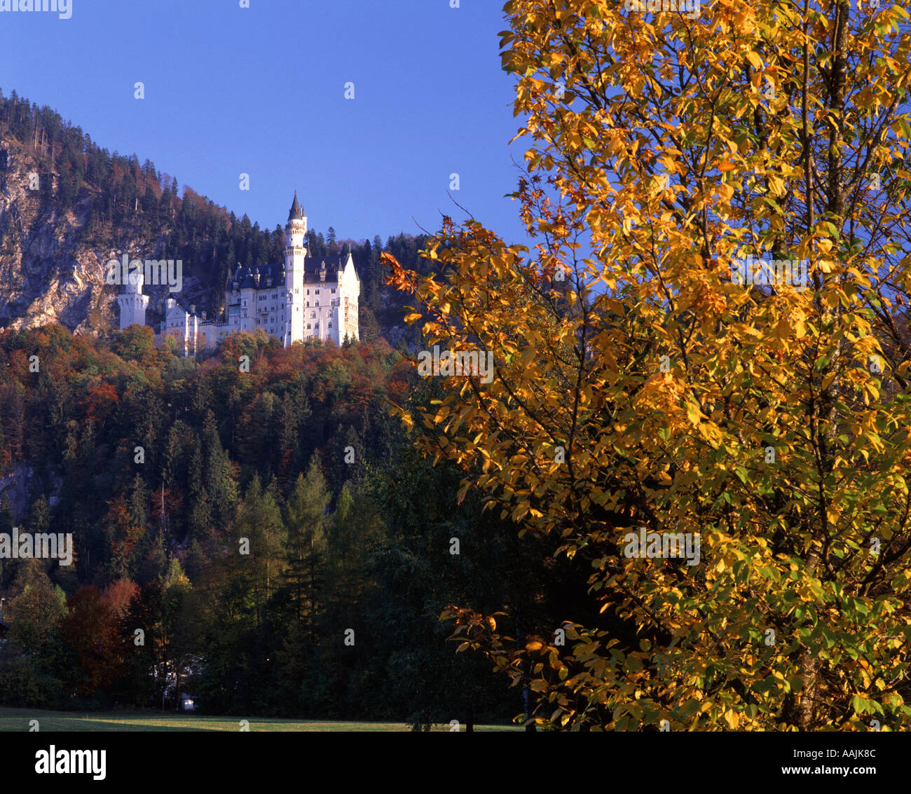 Neuschwanstein Castle, near Fussen, Bavaria, Germany Stock Photo - Alamy
