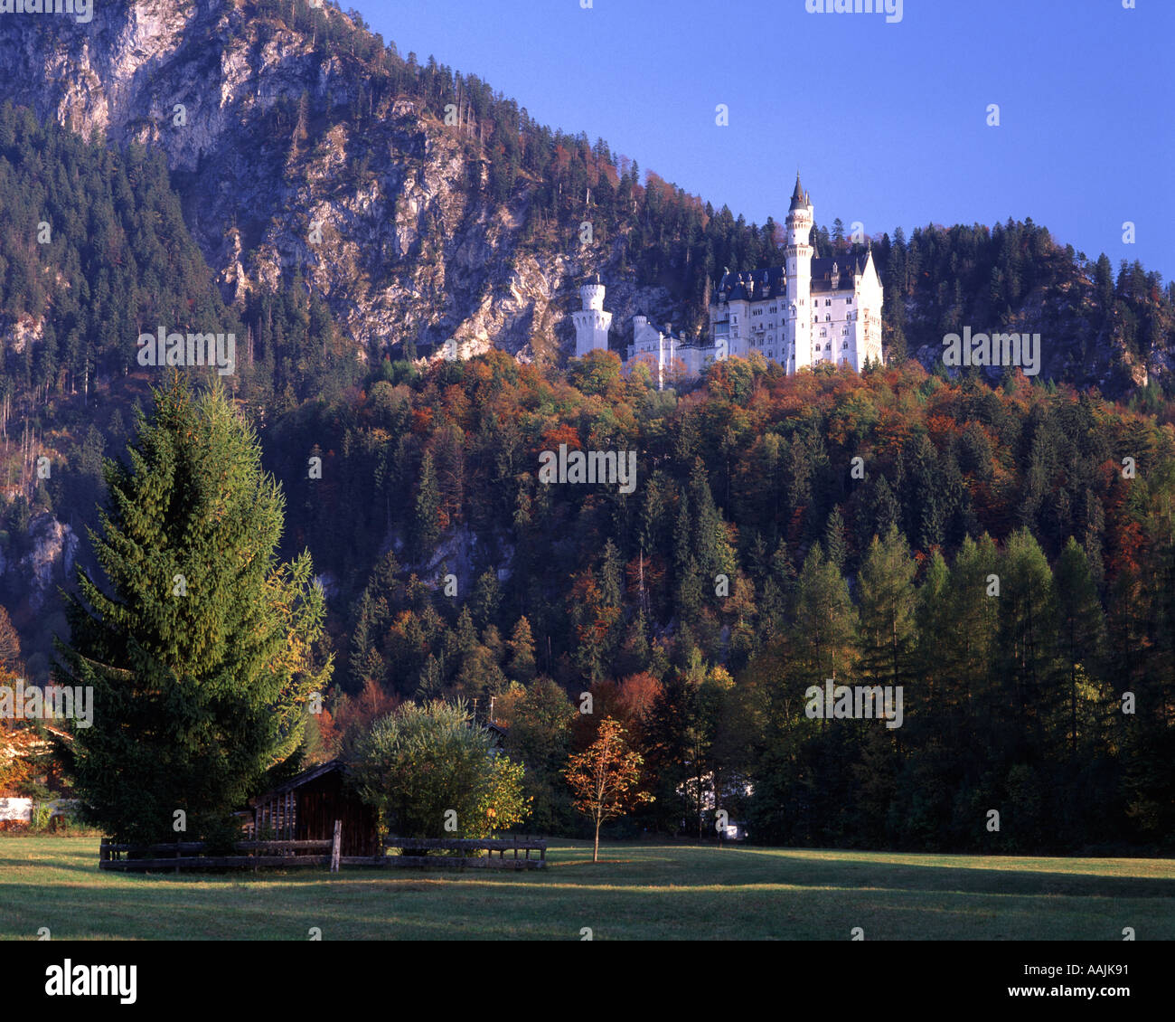 Neuschwanstein Castle, near Fussen, Bavaria, Germany Stock Photo - Alamy