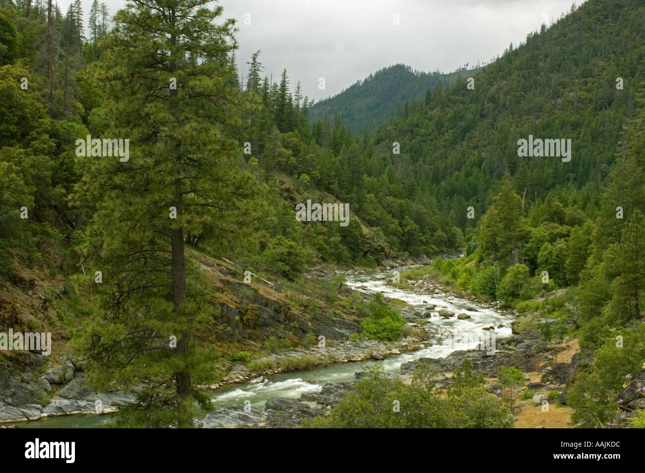 Klamath river and salmon hi-res stock photography and images - Alamy