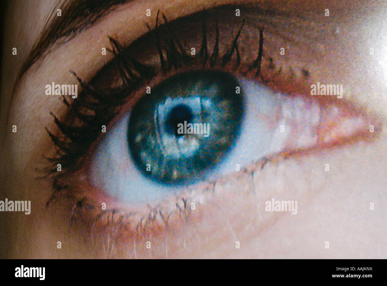 blue eye close-up Stock Photo - Alamy