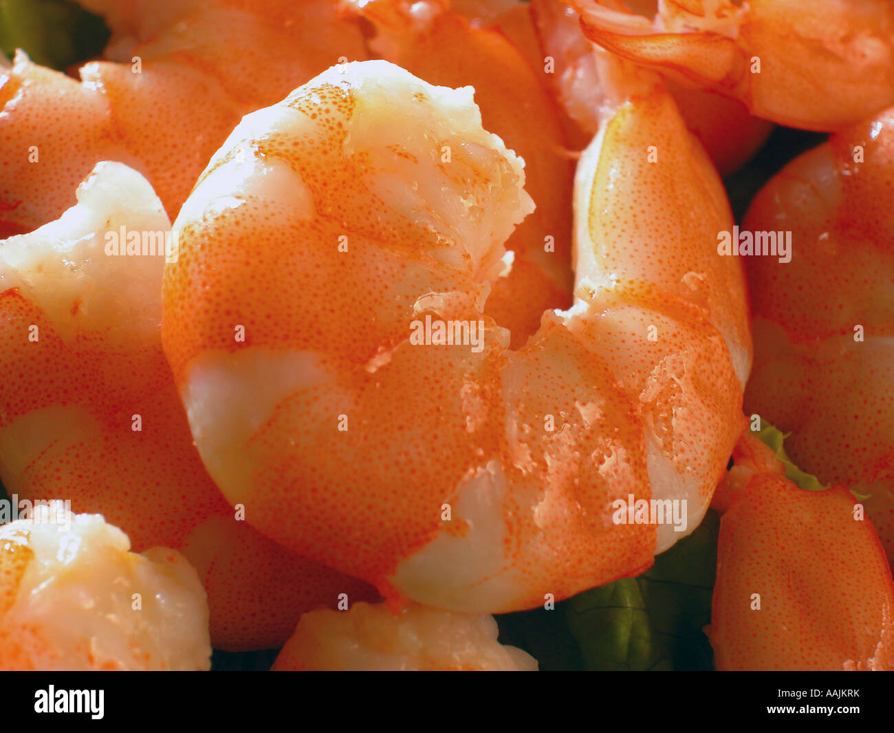 close-up cooked organic shrimp with no head Stock Photo - Alamy