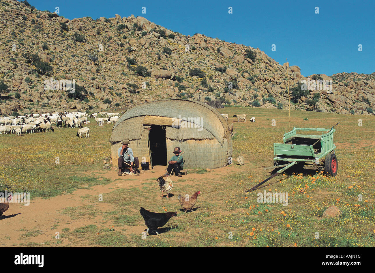 Nomadic sheep farmer Namaqualand Northern Cape South Africa Stock Photo ...