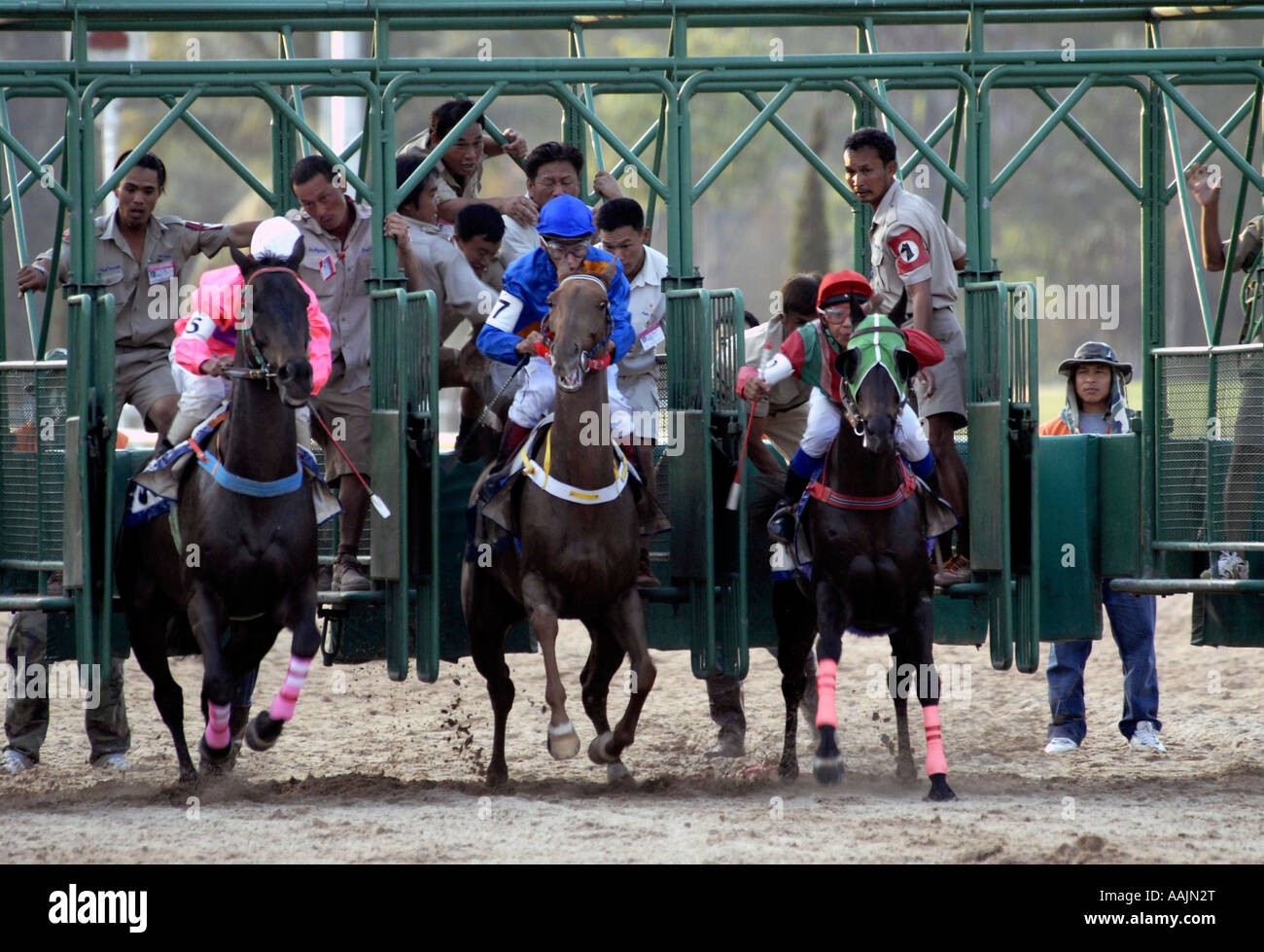 Chiang Mai,Thailand horse racing course,start from stalls Stock Photo ...