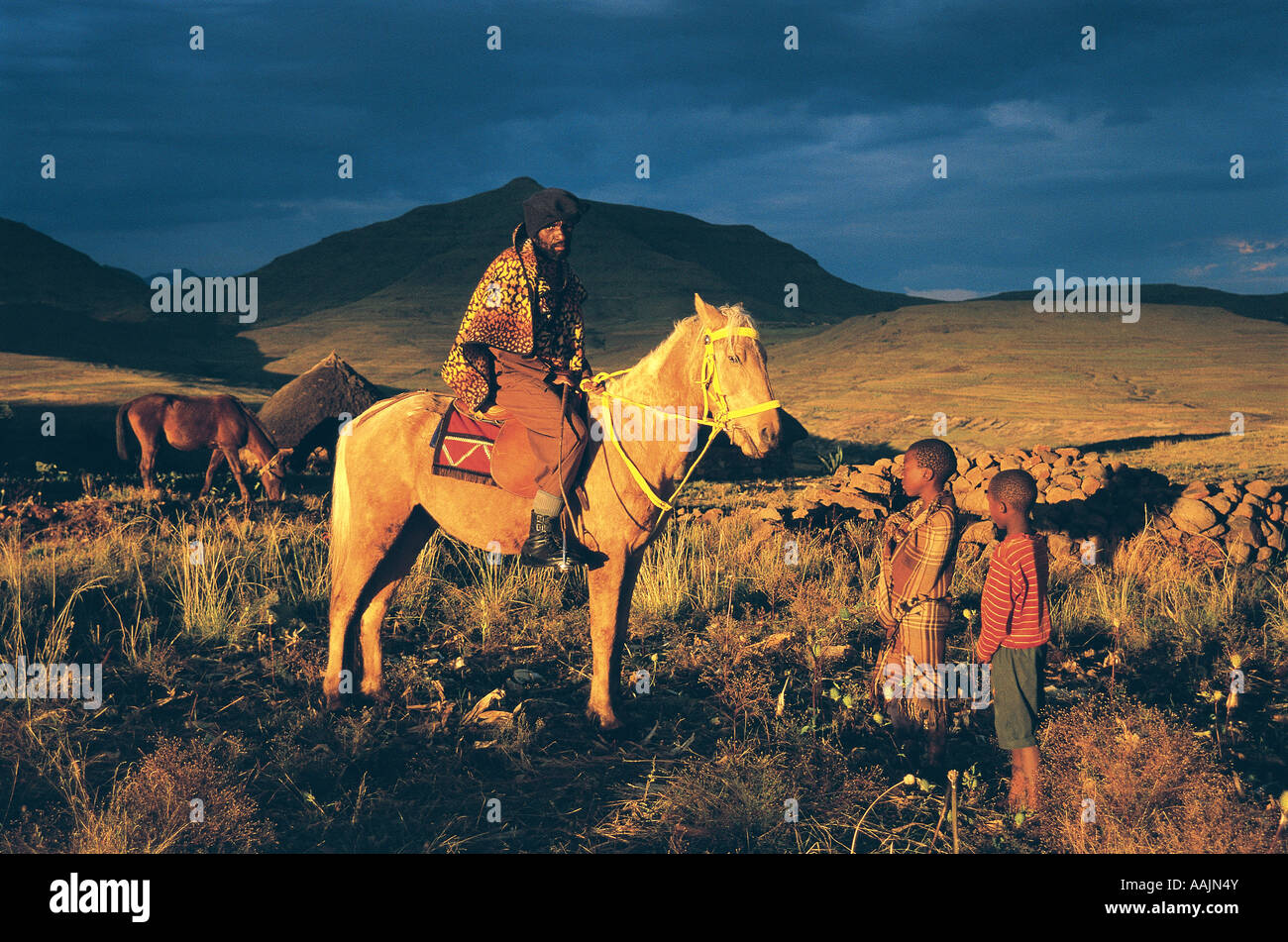 Africa horse lesotho man hi-res stock photography and images - Alamy