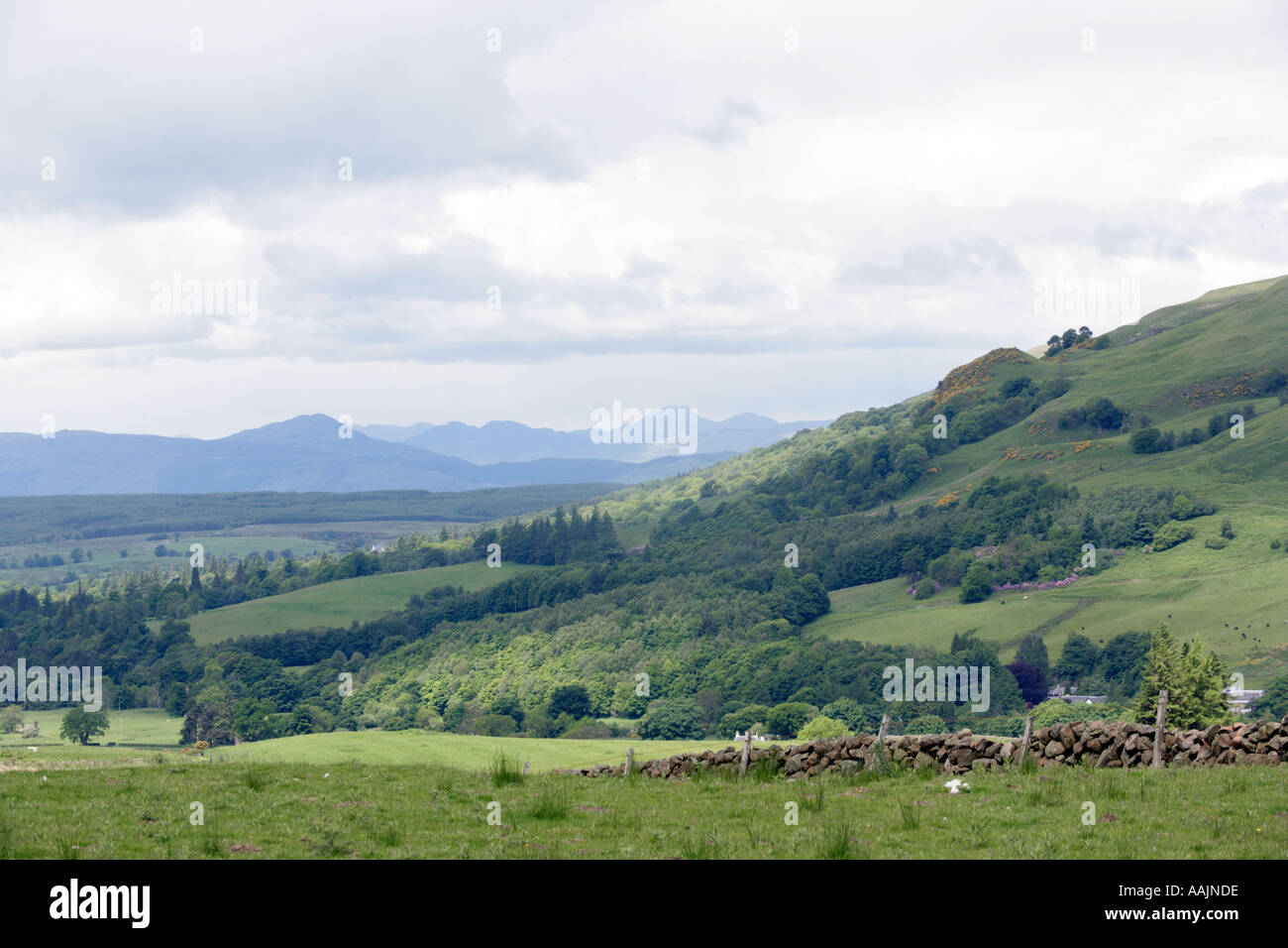 VIEW FROM ABOVE FINTRY TO THE PEAKS OF THE TROSSACHS SCOTLAND Stock ...