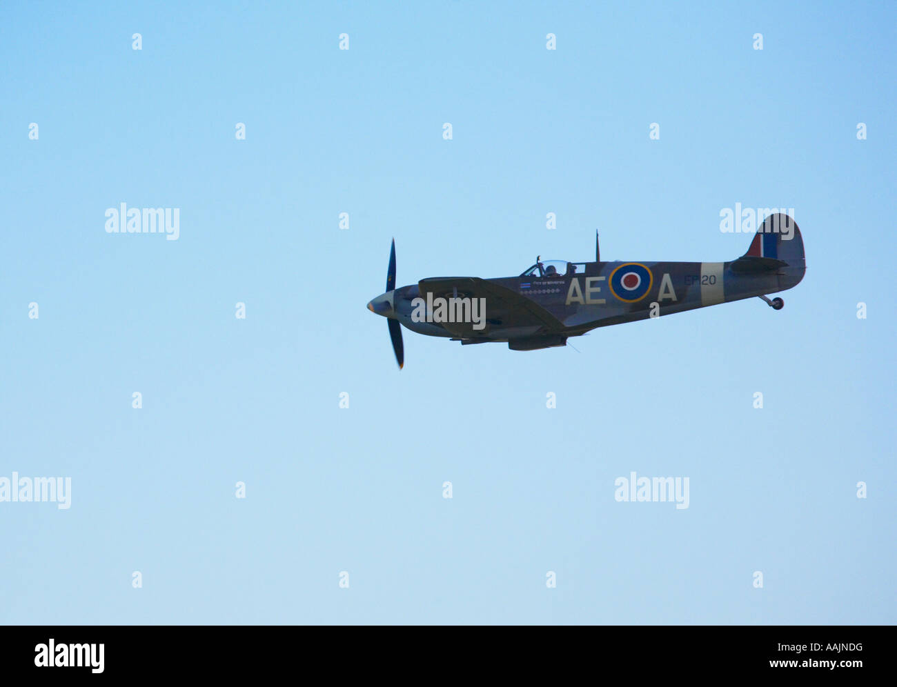 Supermarine Spitfire in flight Stock Photo - Alamy