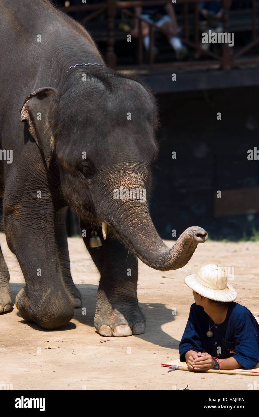 An elephant plays with its trainer at the Elephant Training Center in ...