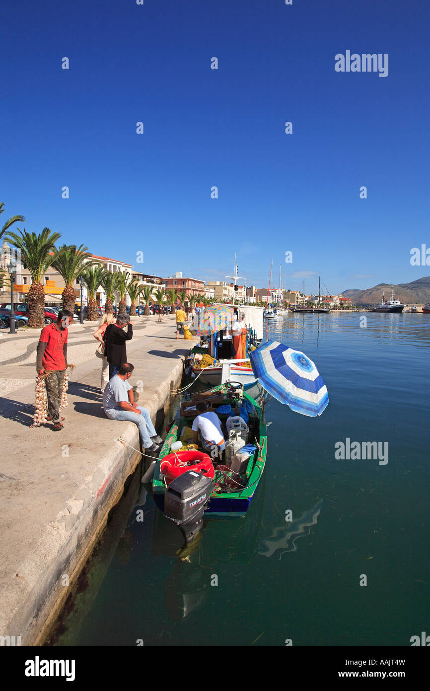 Ionion sea fish hi-res stock photography and images - Alamy