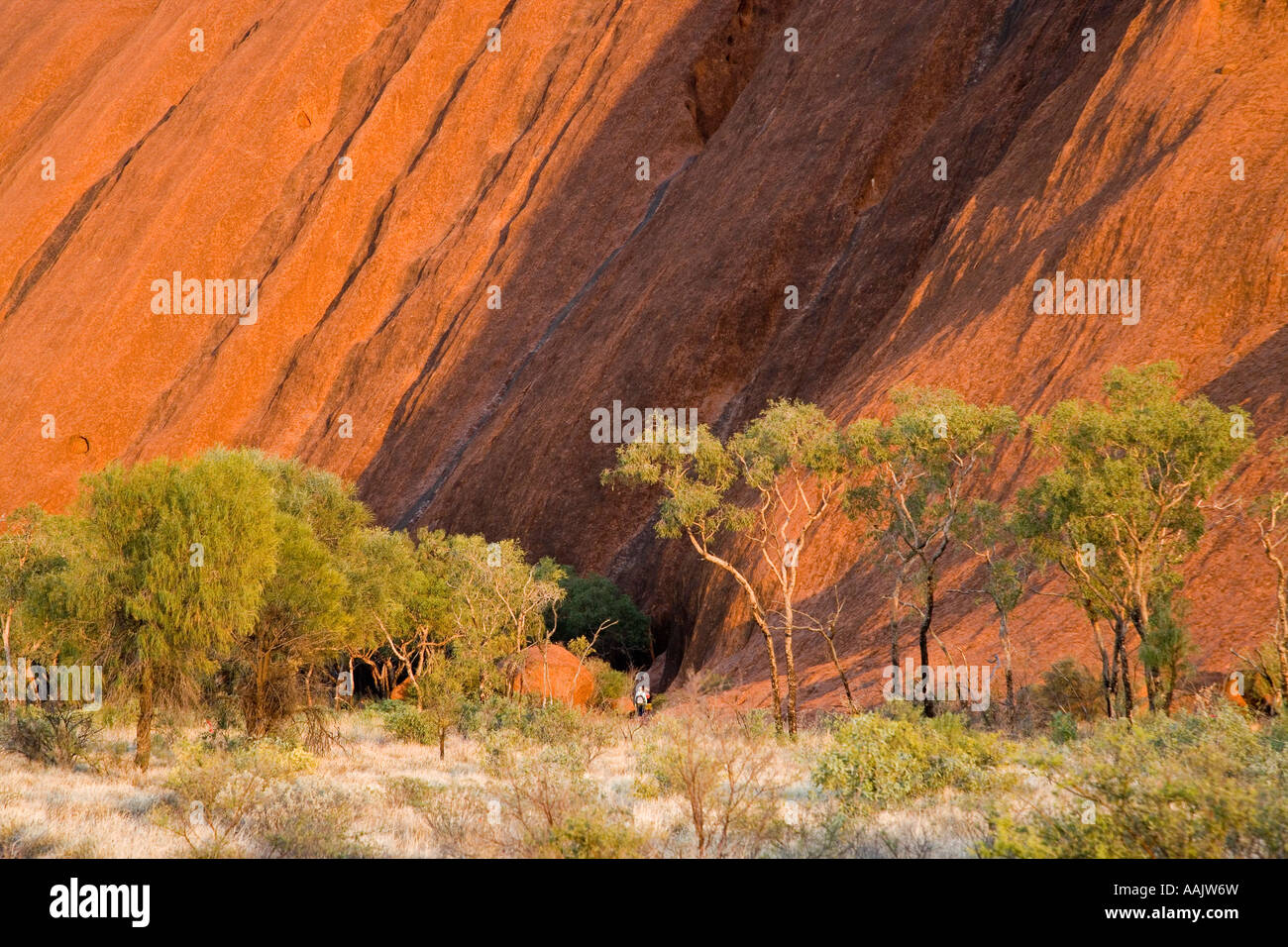 The Base Walk Uluru Ayers Rock Uluru Kata Tjuta National Park World ...