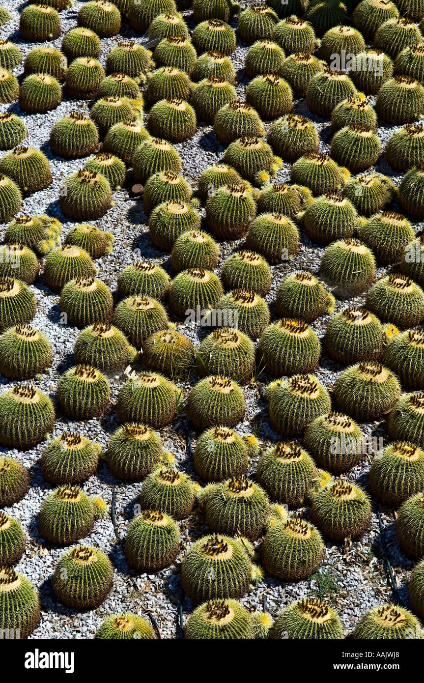 paul getty museum los angeles usa Stock Photo - Alamy