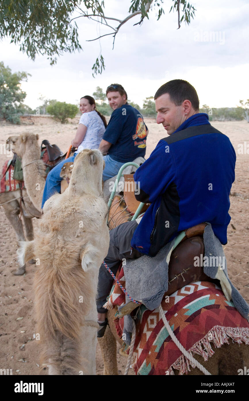 Camel Trek Alice Springs Outback Northern Territory Australia Stock ...