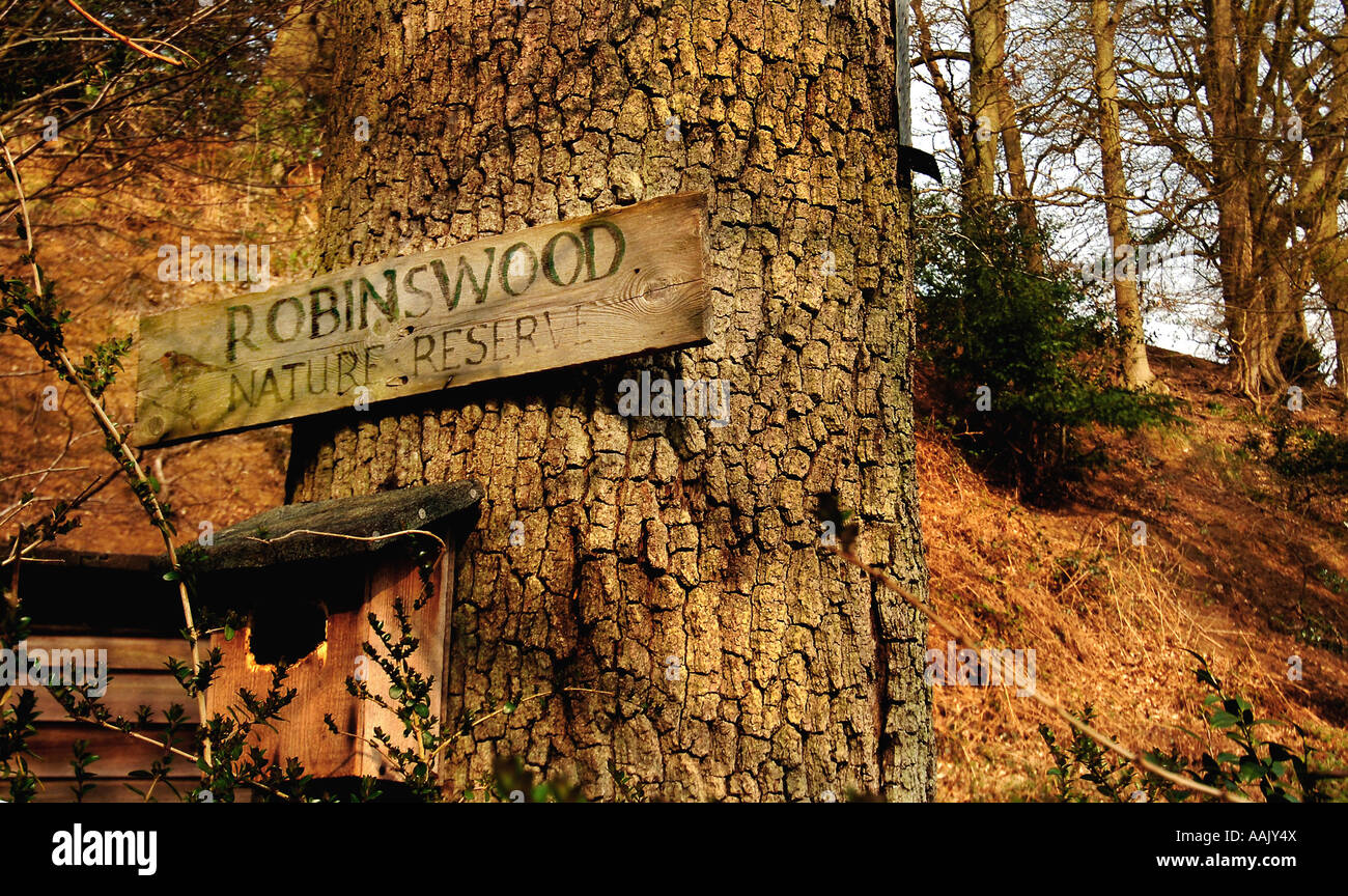 Fly fishing at Robins Lake in Robins Wood Farnham South England Stock ...