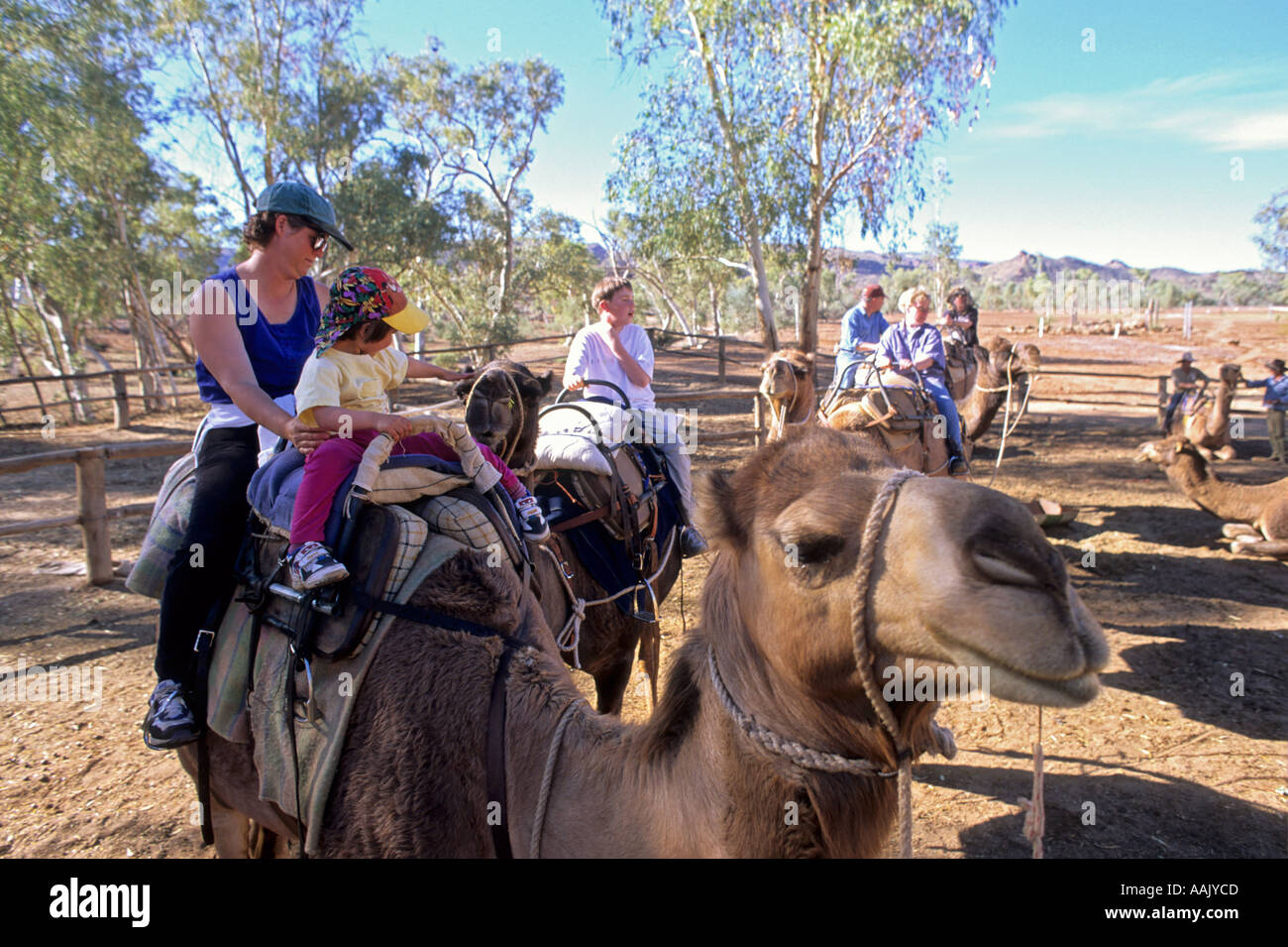 Camel Trail Ride Stock Photo - Alamy