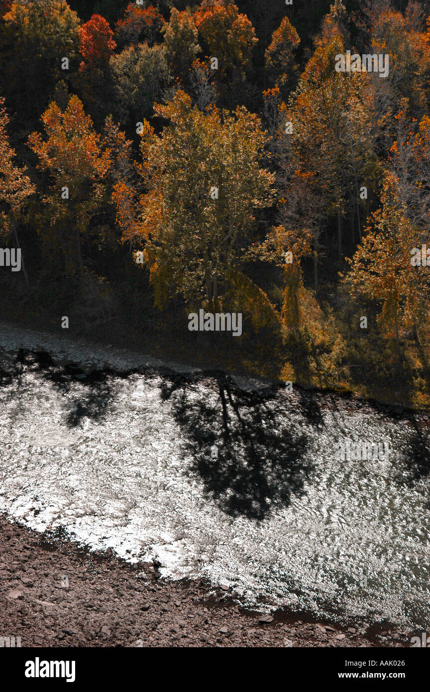 Letchworth state park vertical hi-res stock photography and images - Alamy