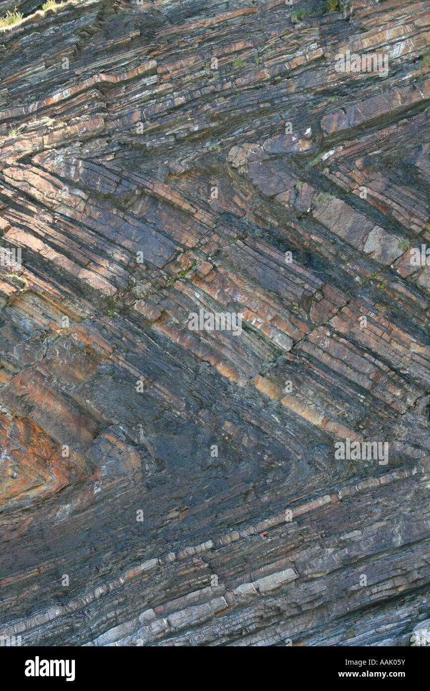 Cornwall sea cliff s at millock haven interesting zig zag rock formations Stock Photo - Alamy