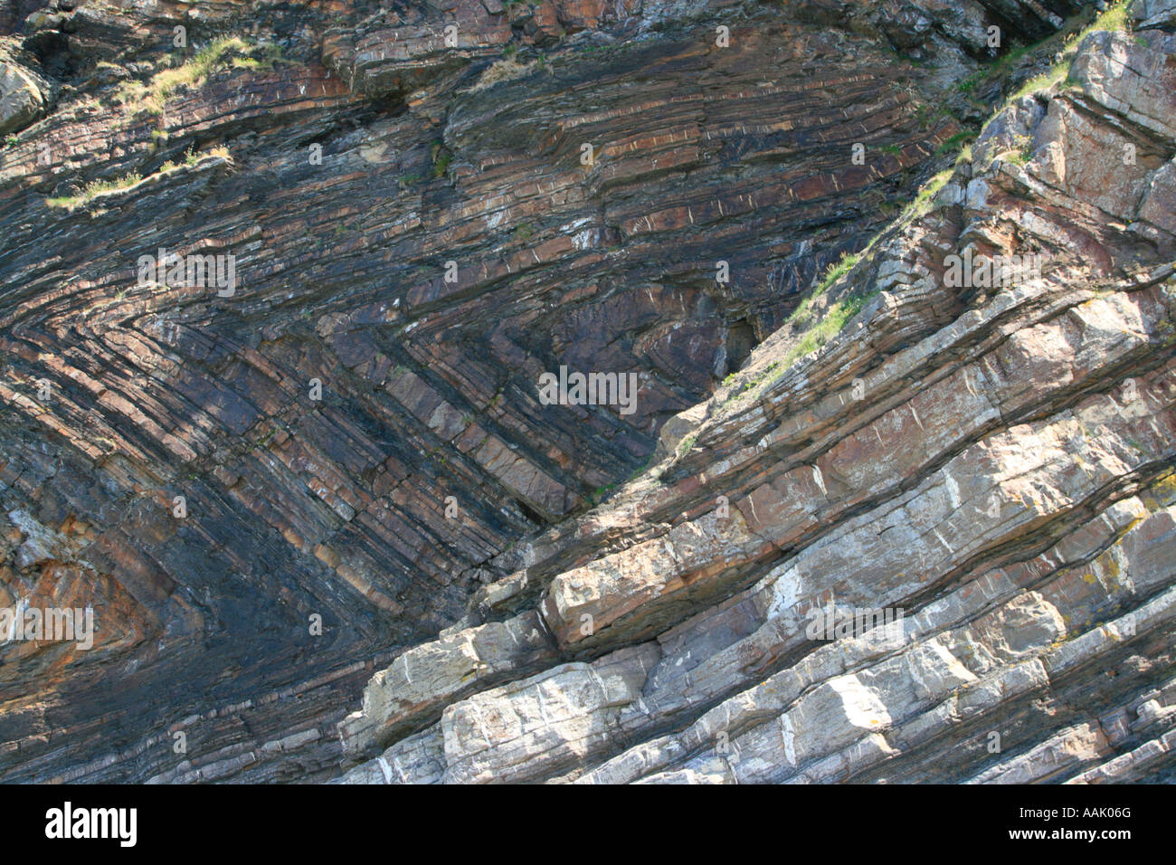 Cornwall sea cliff s at millock haven interesting zig zag rock formations Stock Photo - Alamy