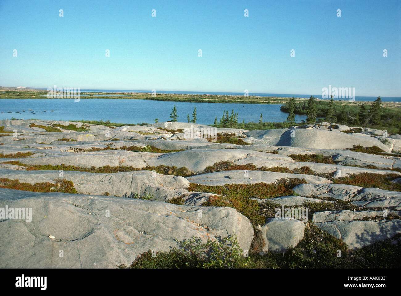 Tundra Hudson Bay Churchill MB additional similar images available ...