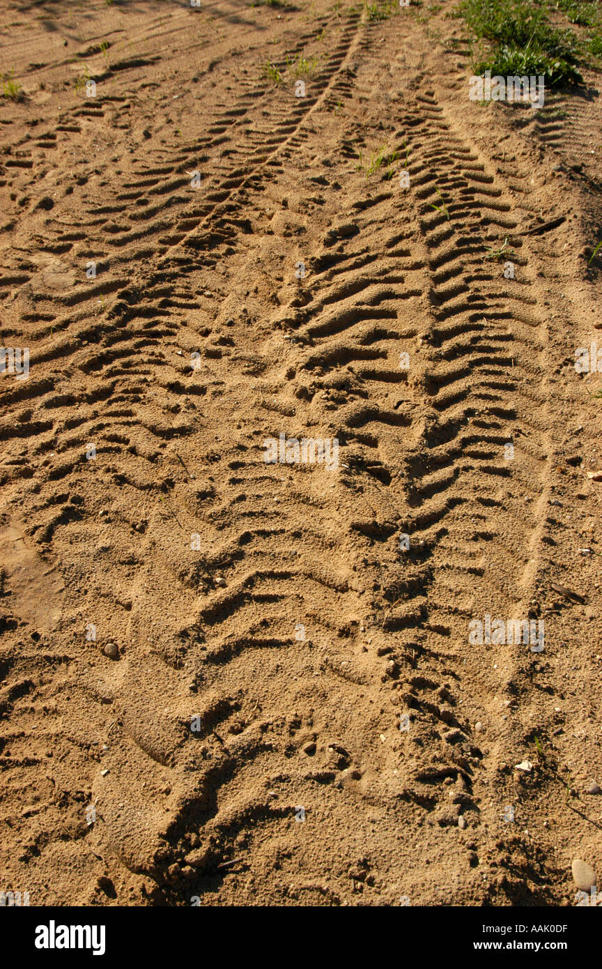Tracks in the sand Stock Photo - Alamy