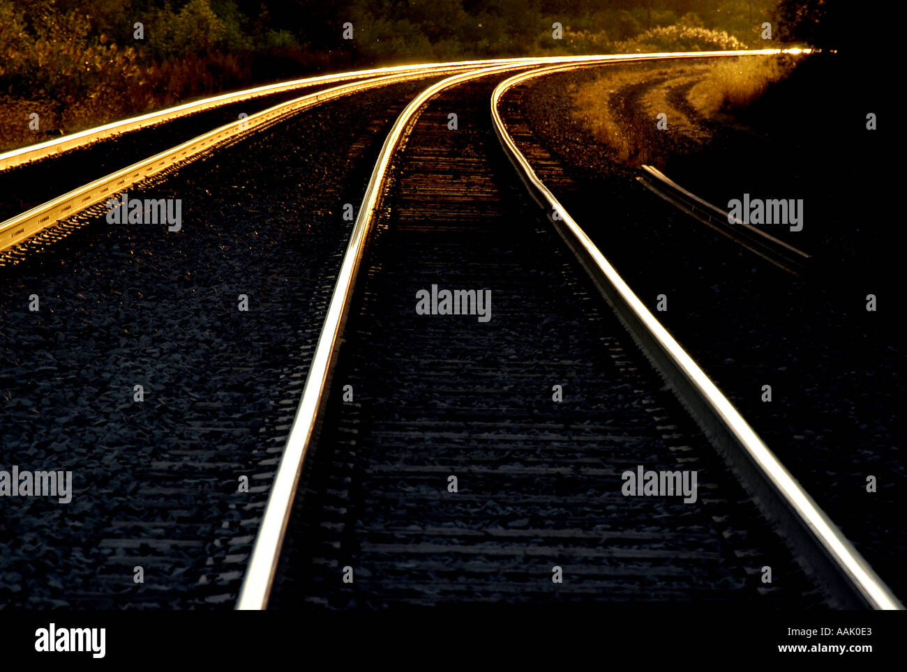 Railroad tracks converging Stock Photo - Alamy