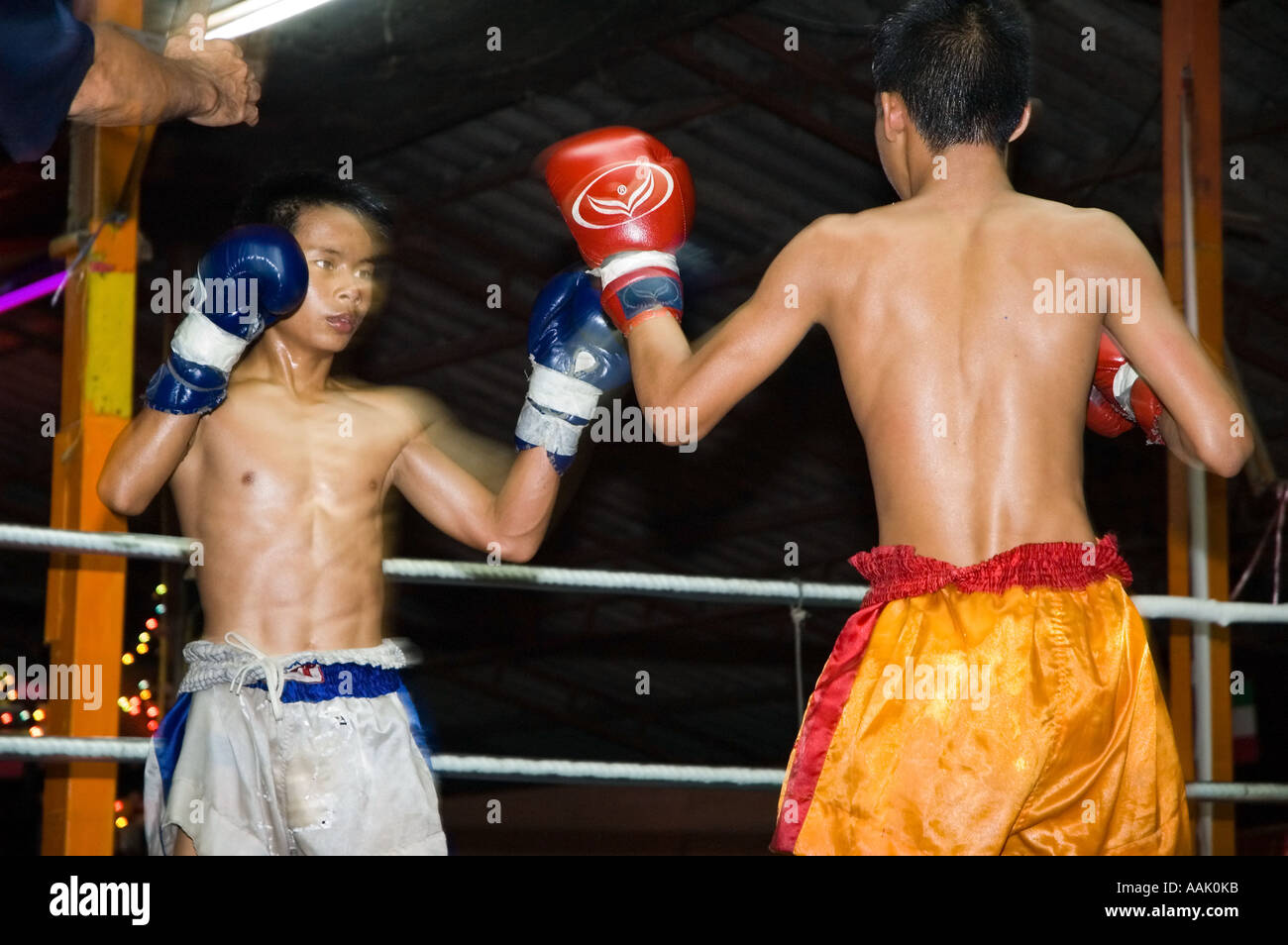 Muay Thai boxing in Chiang Mai Thailand Stock Photo - Alamy
