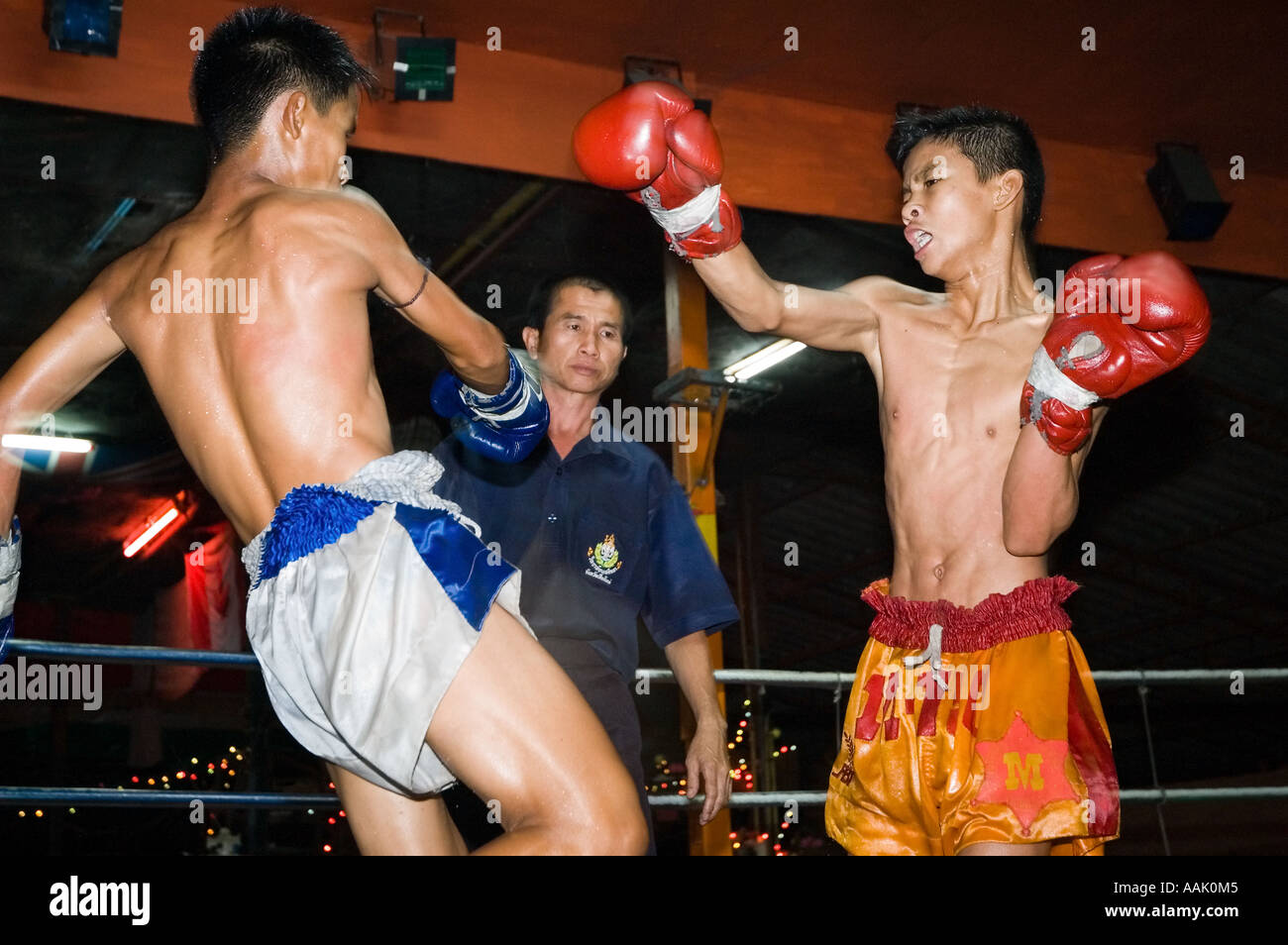 Muay Thai boxing in Chiang Mai Thailand Stock Photo - Alamy