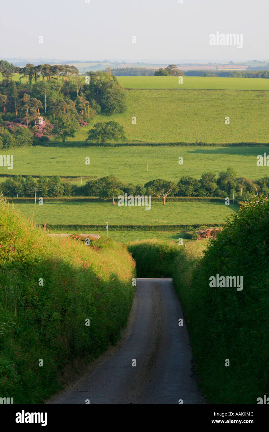 exmoor rolling hills countryside in summer england uk gb Stock Photo ...