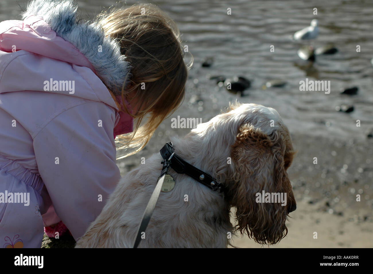 oh look again! Stock Photo - Alamy