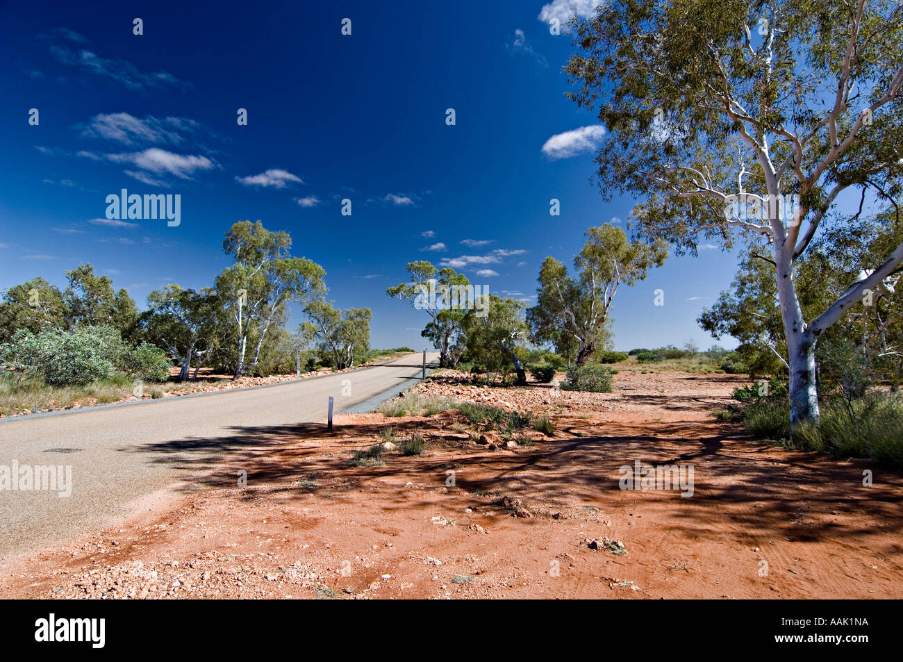 outback landscape tree Stock Photo - Alamy