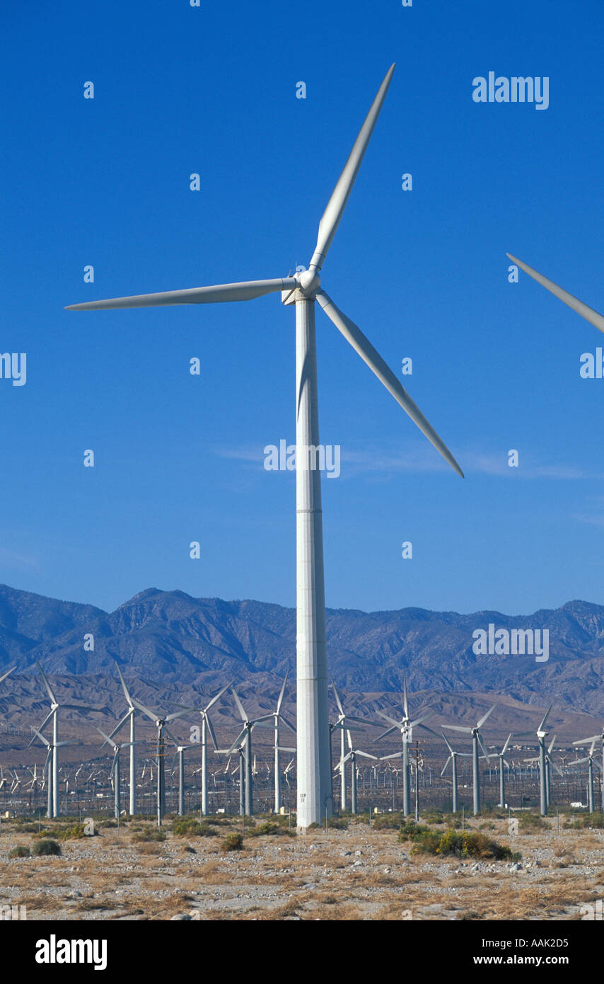 Modern Windmill Farm