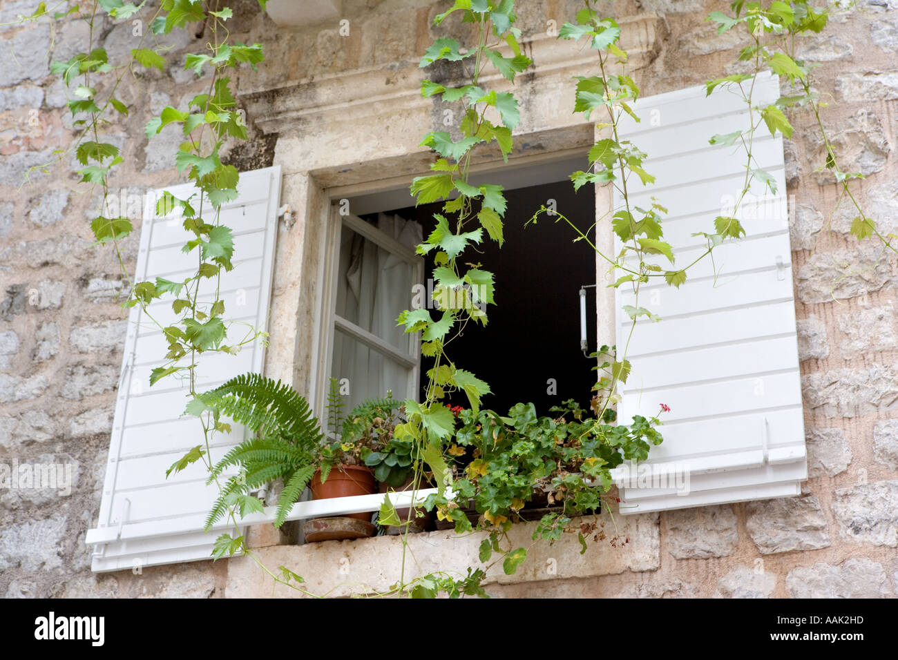 Plants by a window hi-res stock photography and images - Alamy