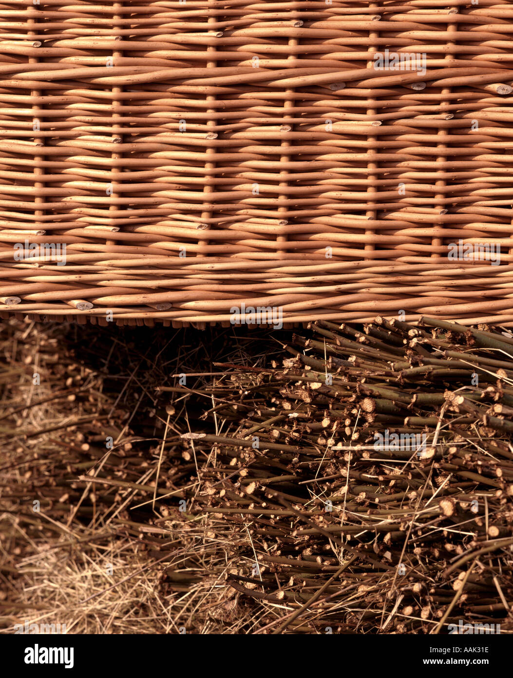 Osier willow hi-res stock photography and images - Alamy