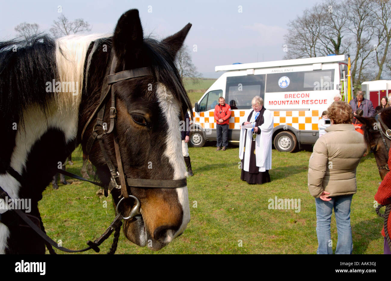 Very Reverend Roger Taylor conducts Horse blessing service at Tregoyd ...