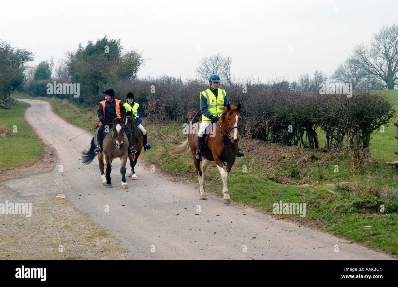 Pony trekkers riding down country lane on a Black Mountains riding loop ...