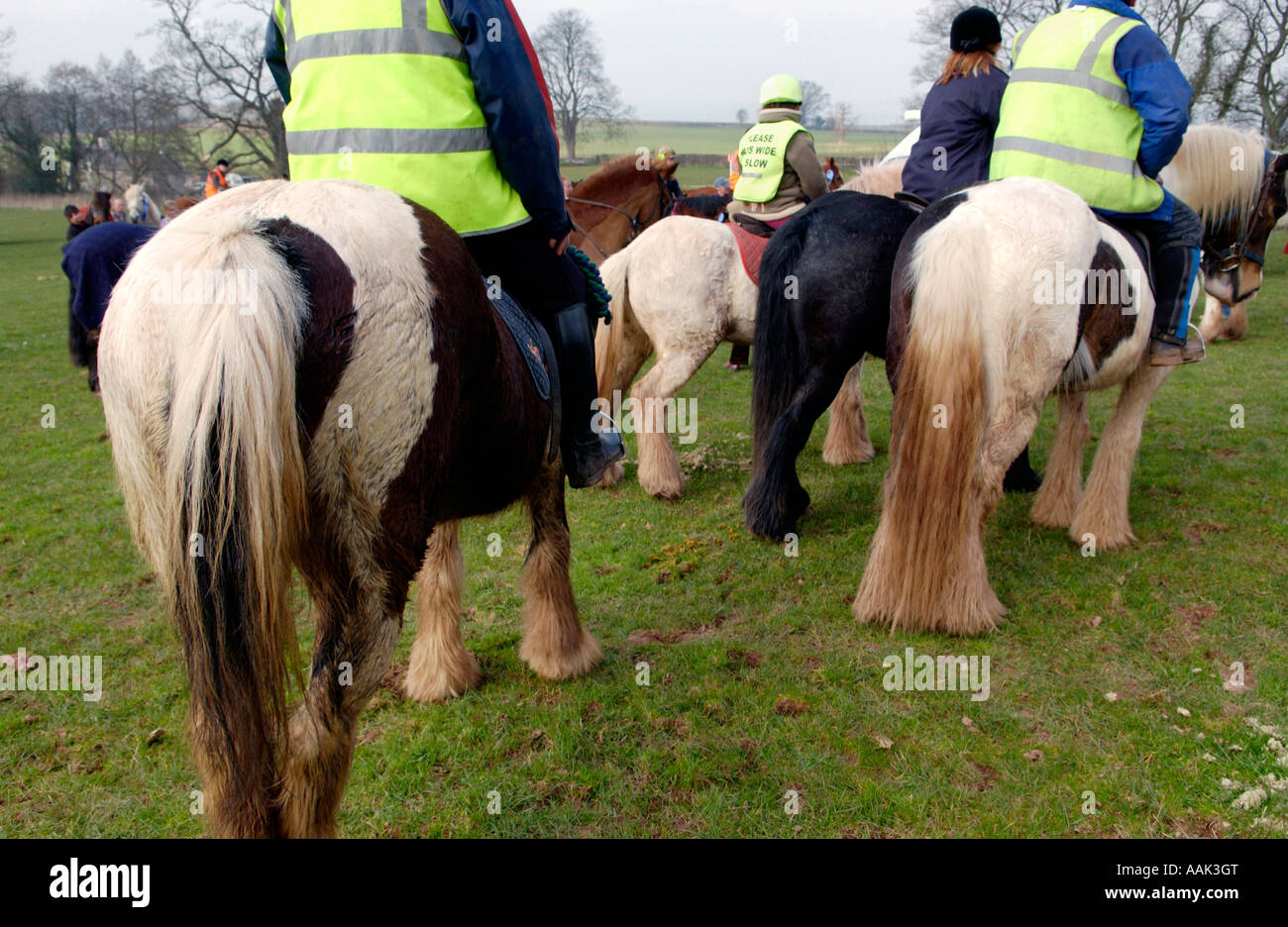 Pony trekkers on a Black Mountains riding loop from Tregoyd Mountain ...